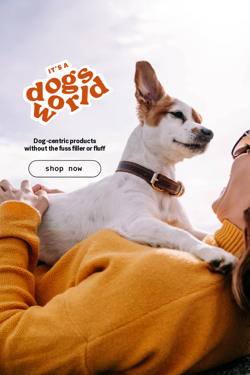 a Dog Person | Natural Dog Supplements for Health & Vitality